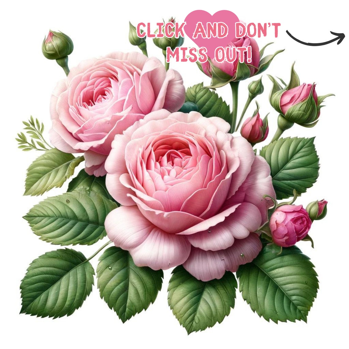 Watercolor Pink Roses Clipart Png, Roses Wedding Bouquet Bundle, Blush ...