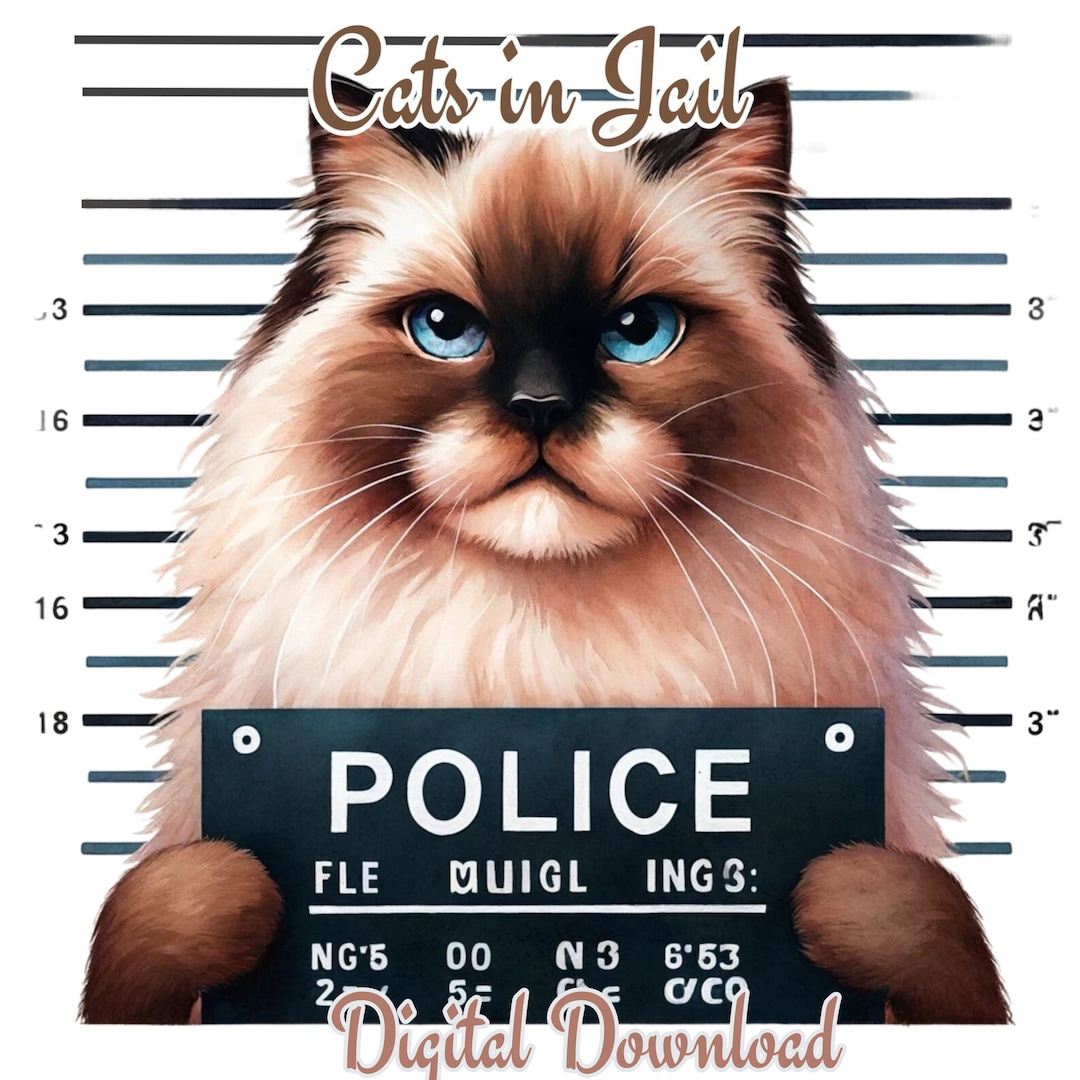 Funny Cats in Jail Cliparts Watercolor, Cat Lover PNG, Quirky Cat ...