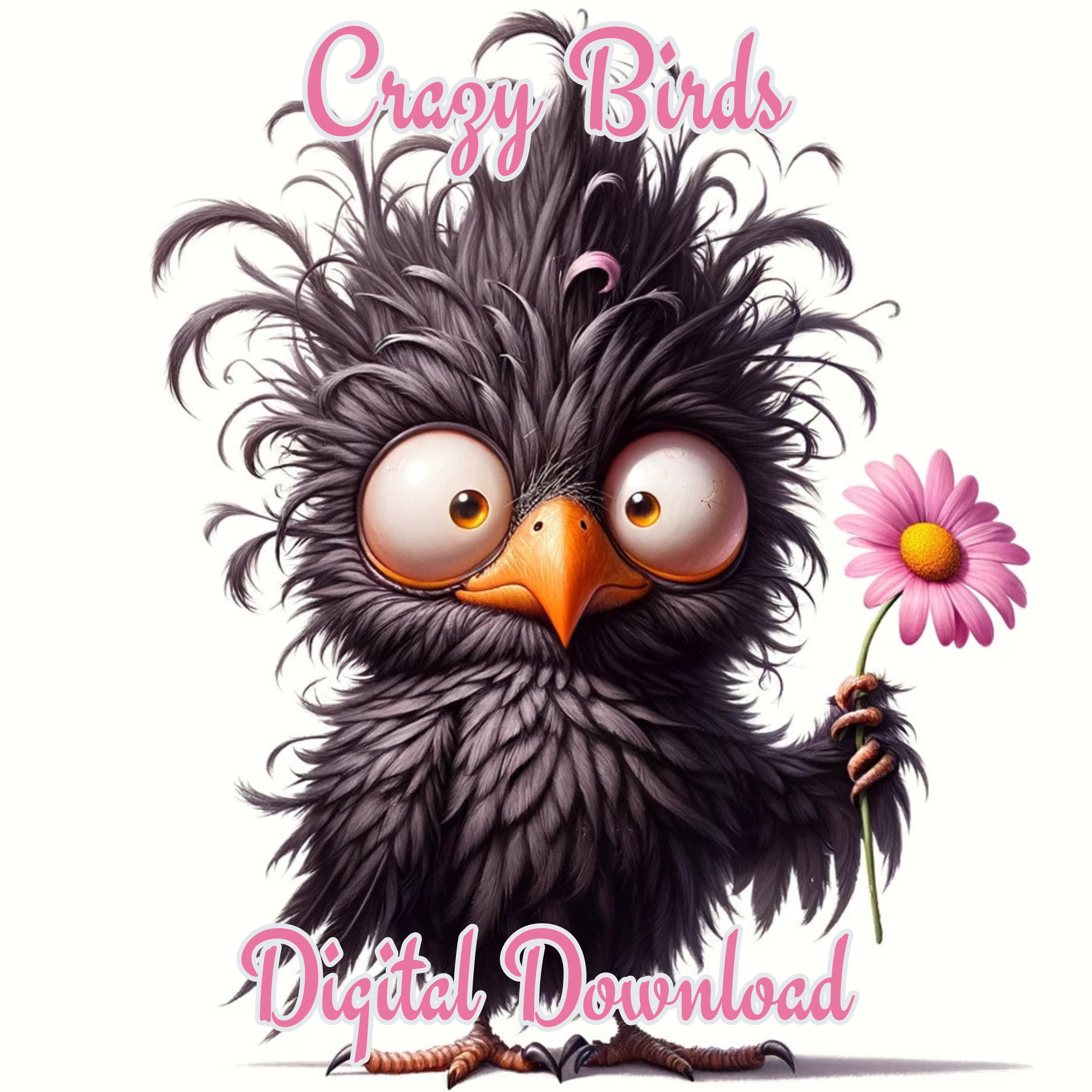 Crazy and Funny Bird Bundle Clipart, Bird Animals Clip Art. Quirky Bird Illustrations, Whimsical ...