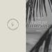 Elegant, Luxury Semi Custom Brand Kit With Coastal Vibes | Premade Logo ...