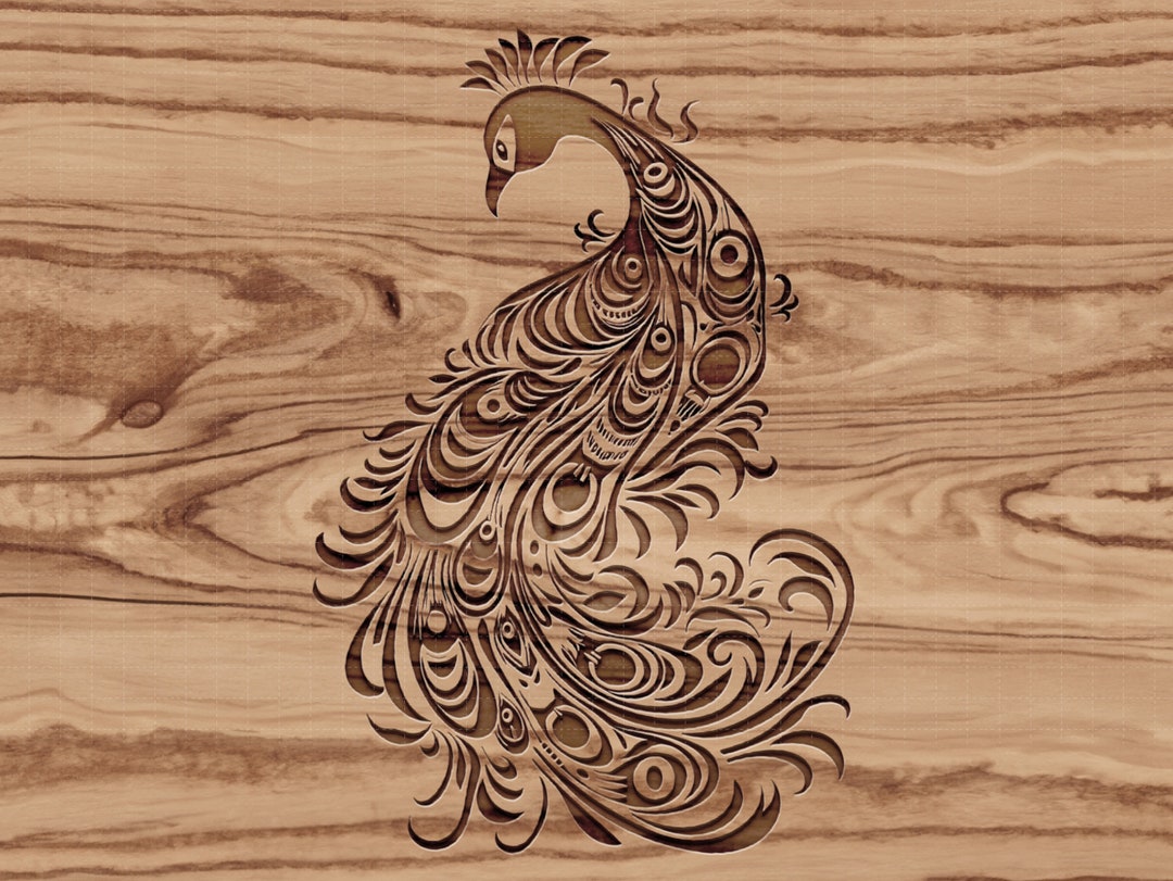 Peacock SVG PNG Files, Floral Peacock Vector Shirt Design File, Peacock ...