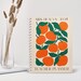 2025-2026 Teacher Planner, Personalized Hand Drawn Oranges Journal, A5 ...