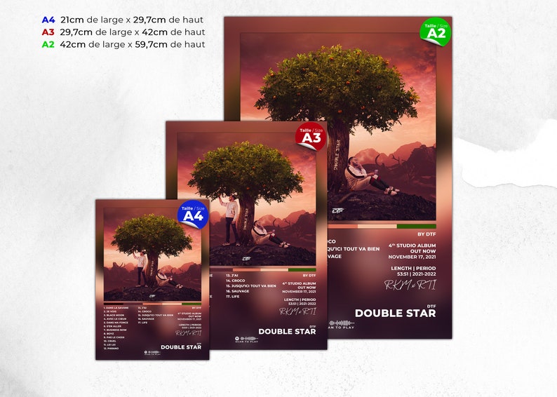 Poster Album Double Star De DTF Album Poster Album Cover - Etsy UK