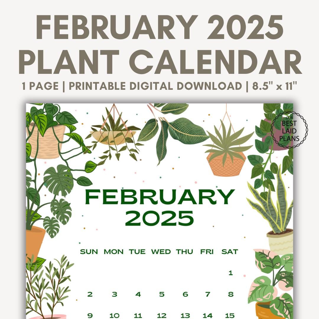February 2025 Calendar Printable PDF Monthly February 2025 Calendar ...