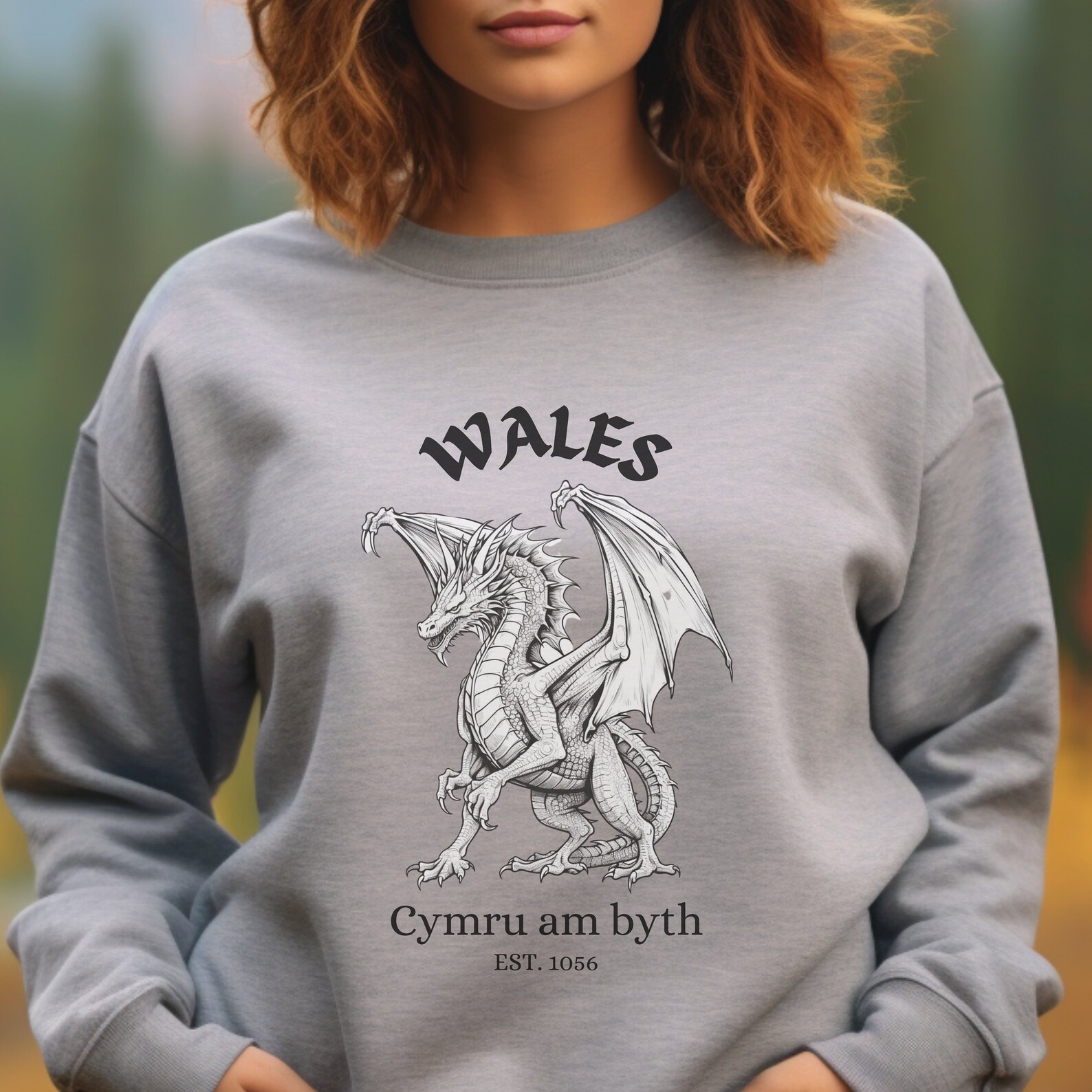 Wales Sweatshirt, Welsh Flag, Welsh Dragon, Vintage Sweatshirt, College ...