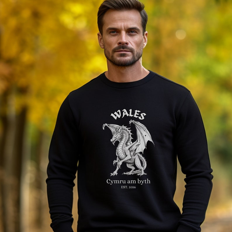 Wales Sweatshirt, Welsh Flag, Welsh Dragon, Vintage Sweatshirt, College ...