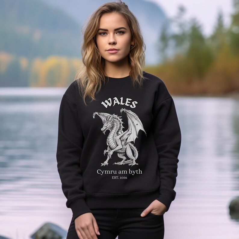 Wales Sweatshirt, Welsh Flag, Welsh Dragon, Vintage Sweatshirt, College ...