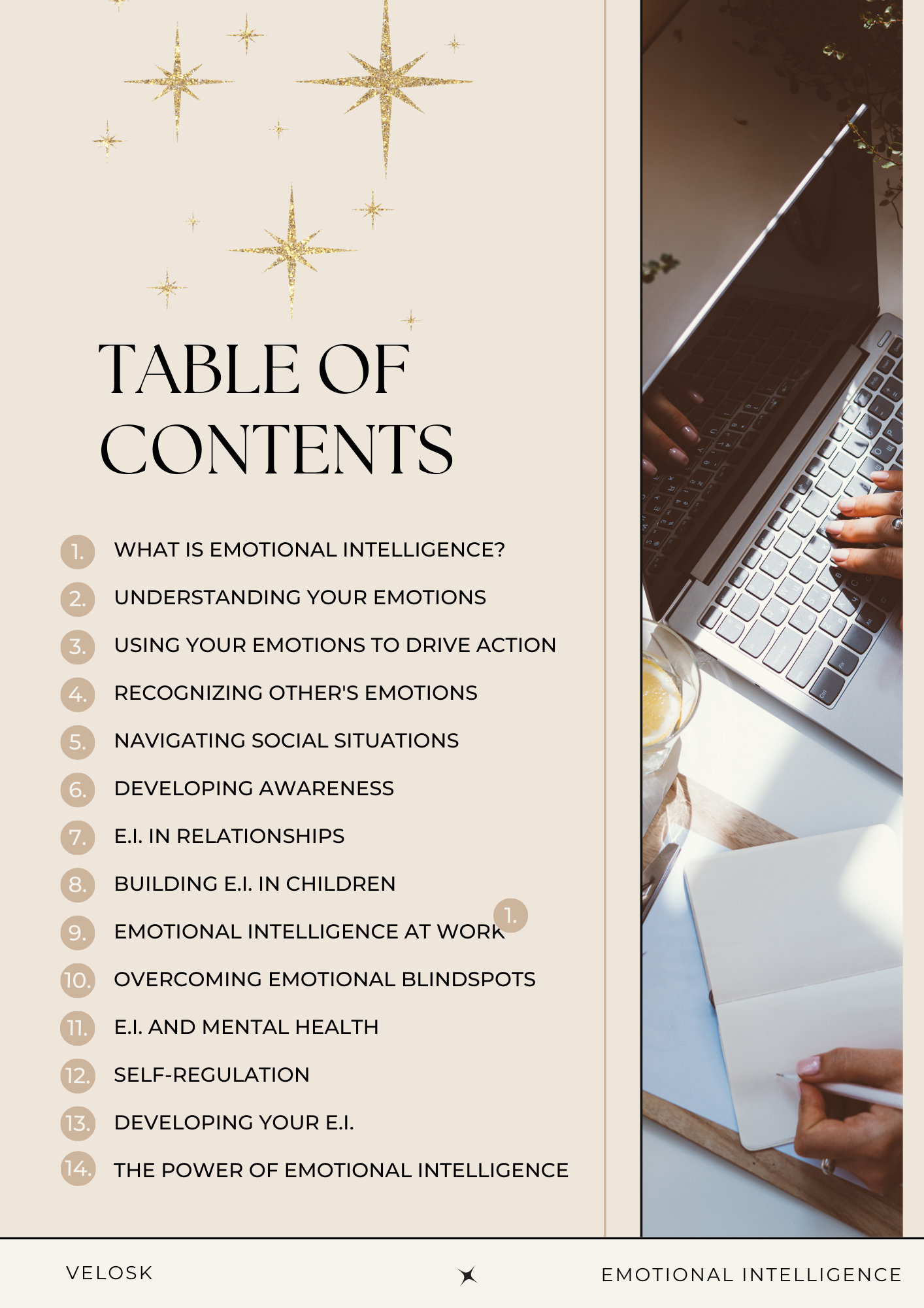 Emotional Intelligence 101 Guide, Develop Emotional Intelligence and ...