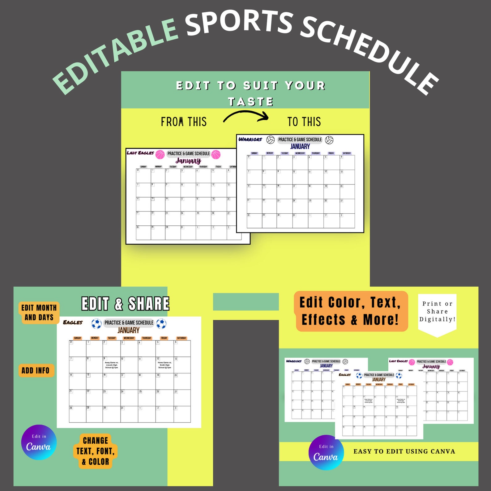 Softball Coach Bundle, Softball Coach Planners, Softball Coach ...