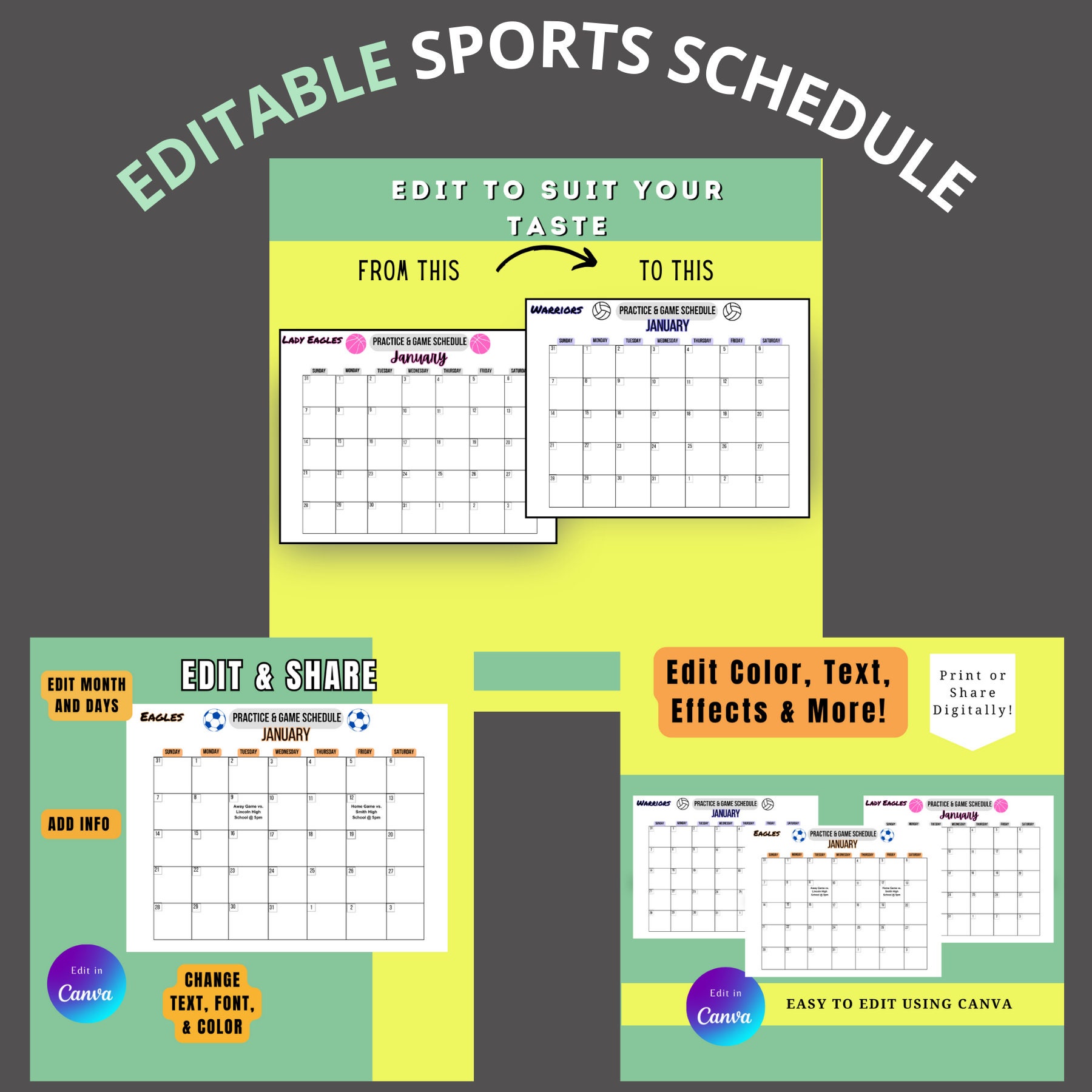 Softball Coach Bundle, Softball Coach Planners, Softball Coach ...
