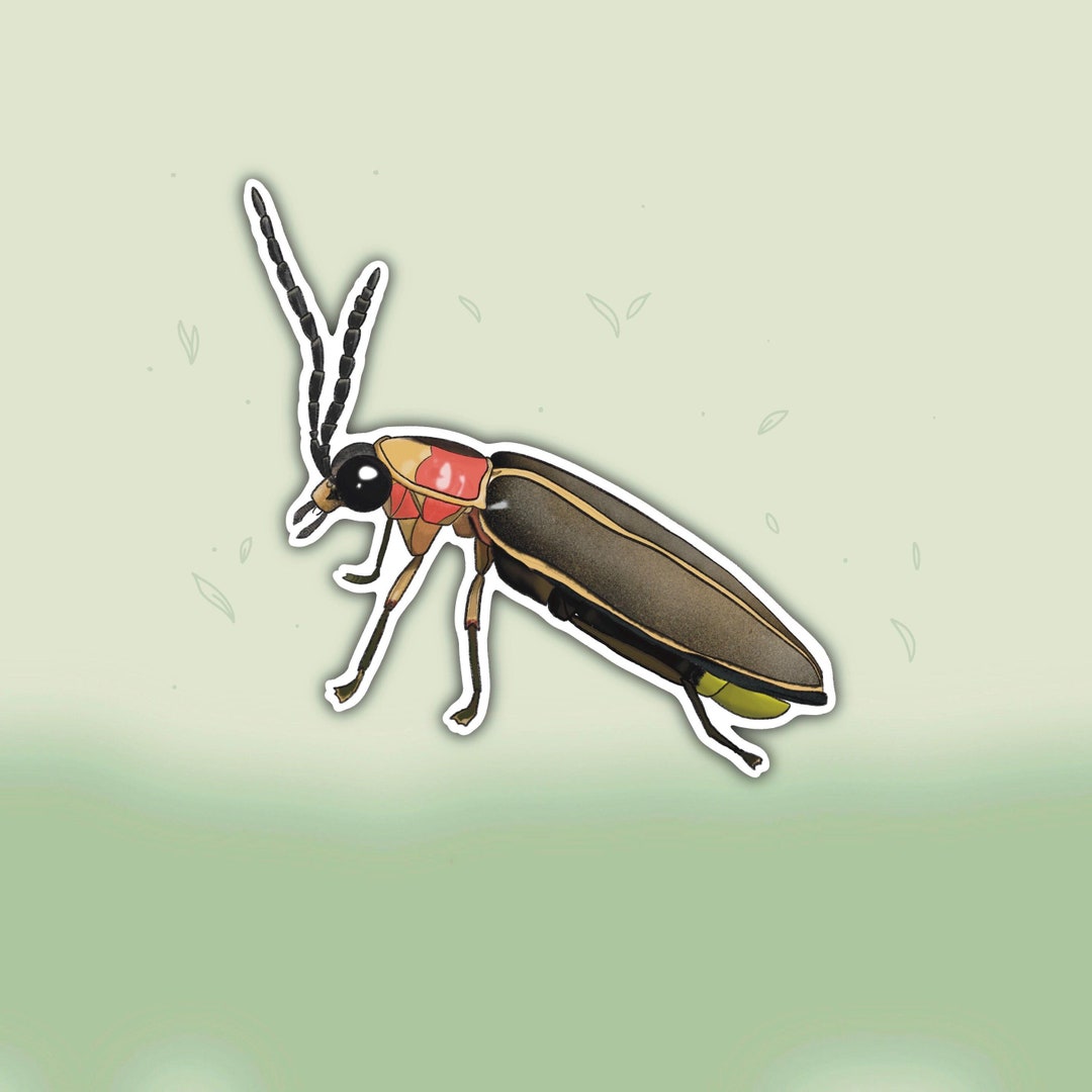 A . Flick the Firefly Sticker Glossy, Water-resistant Vinyl - Etsy