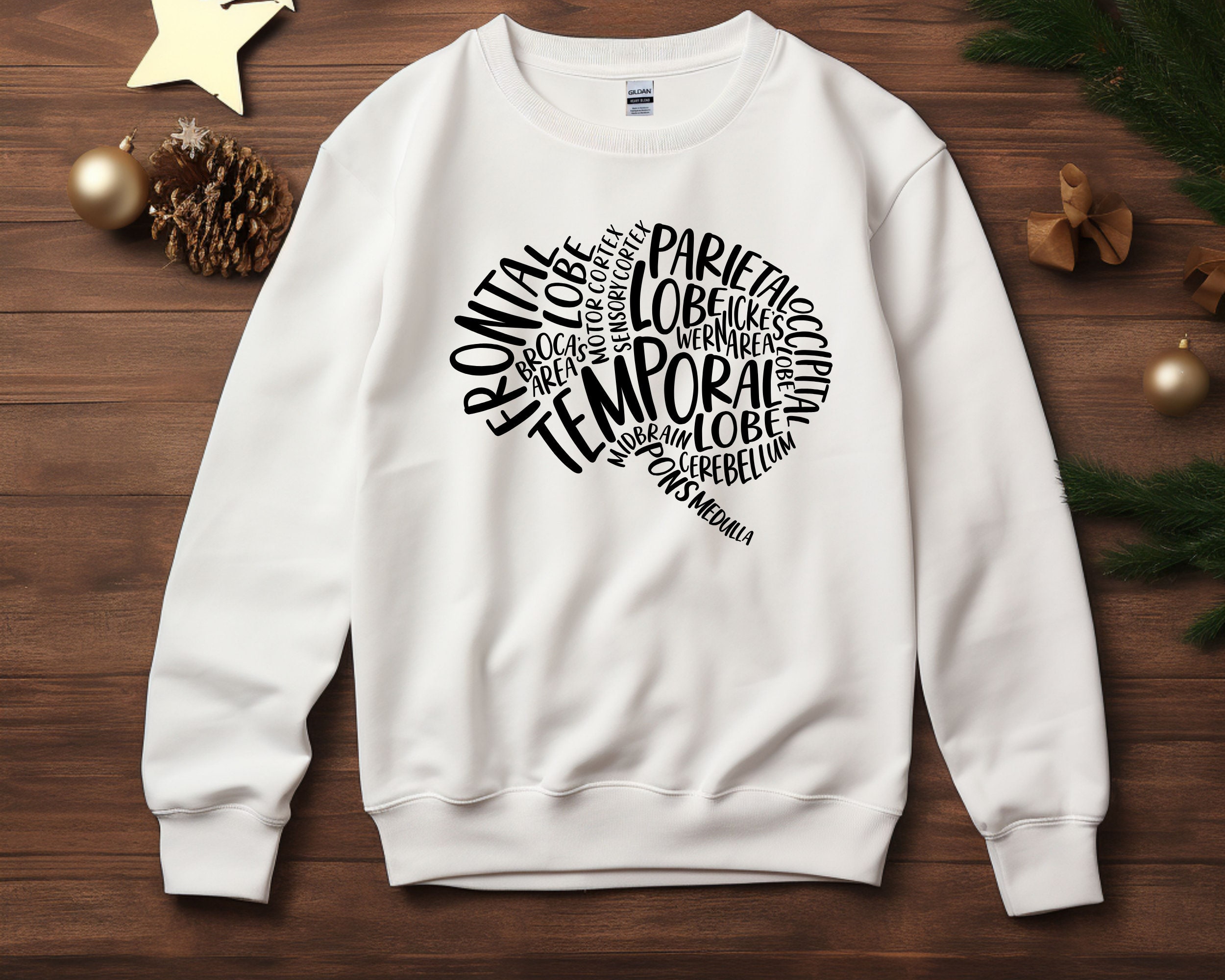 Anatomy of the Brain Sweatshirt, Anatomy of the Brain Hoodie, Nurse ...