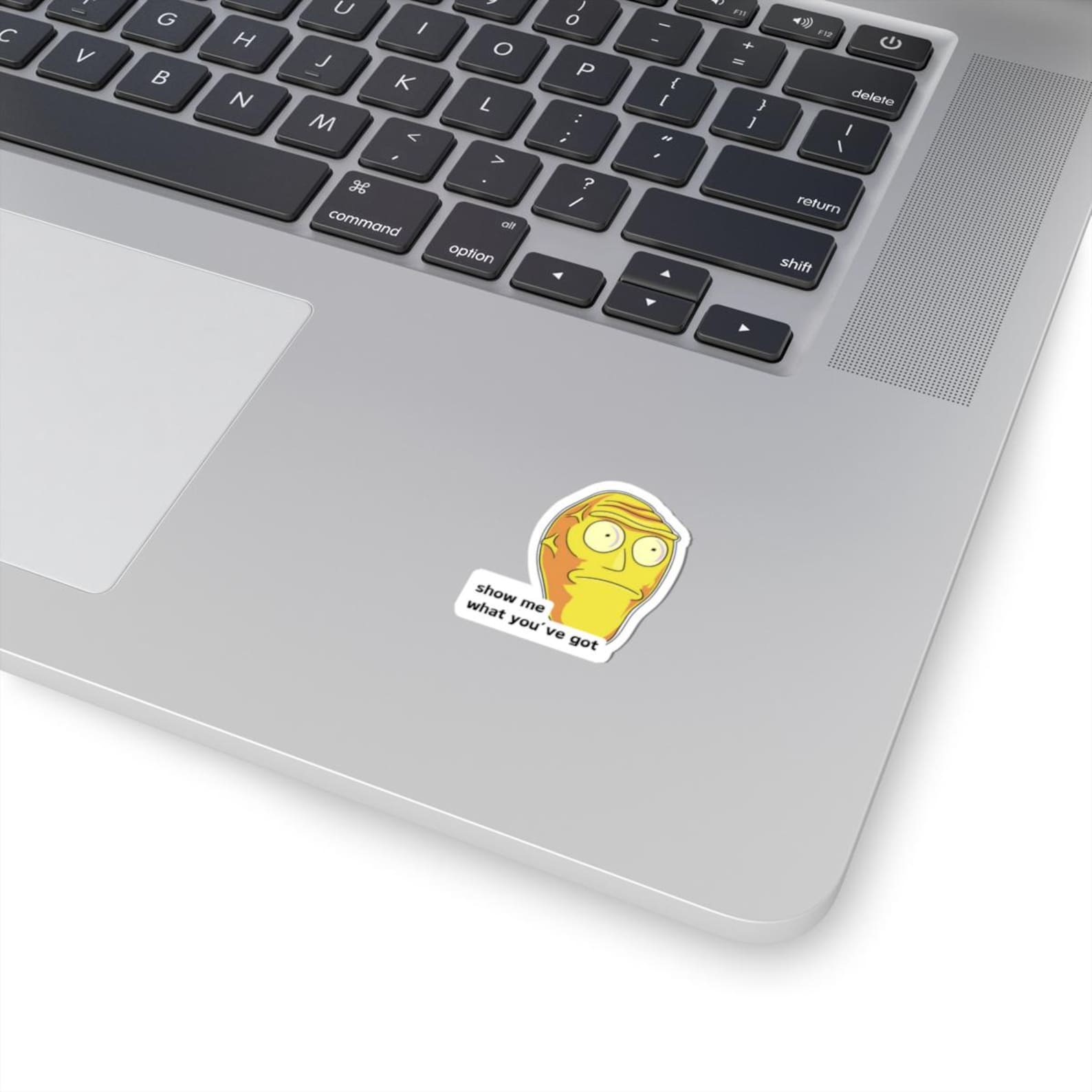 Rick and Morty Inspired Sticker - Giant Floating Head - Show Me What ...