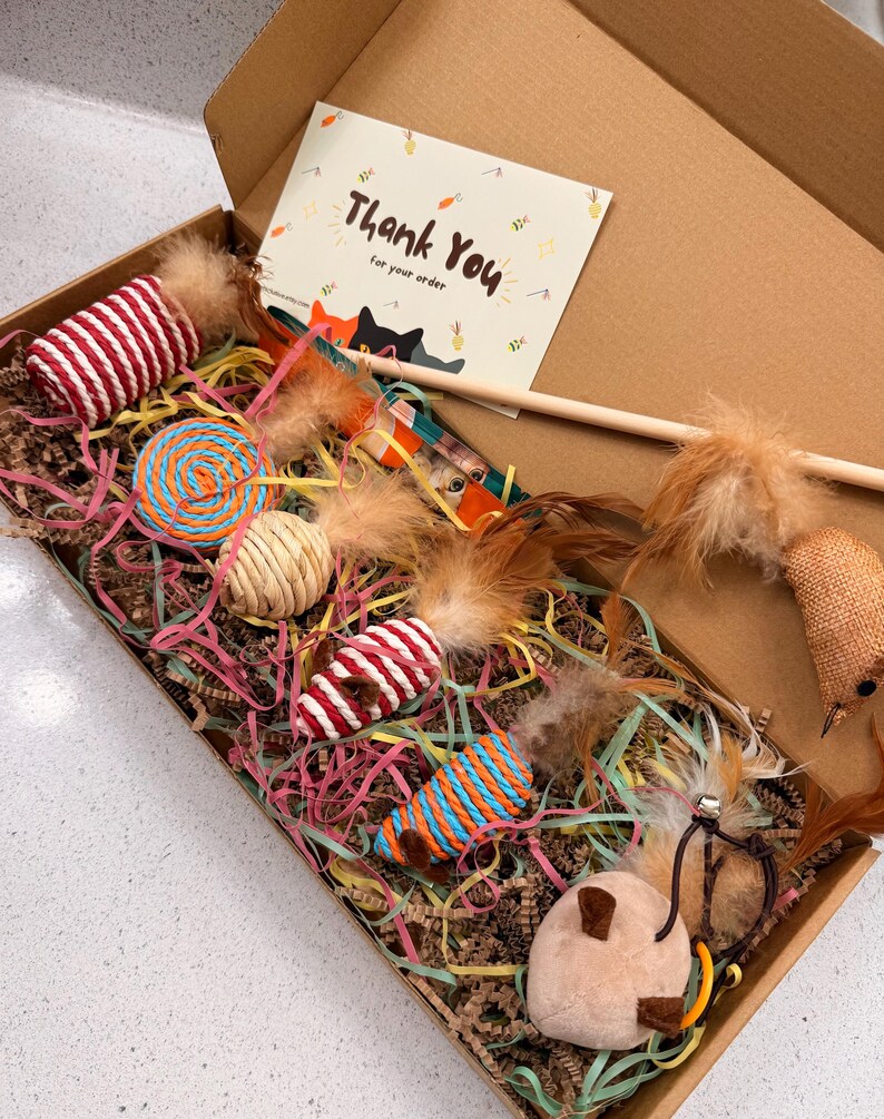 Handmade Cat Toy Gift Box – Feather Wand, Treats, Interactive Kitty Set ...