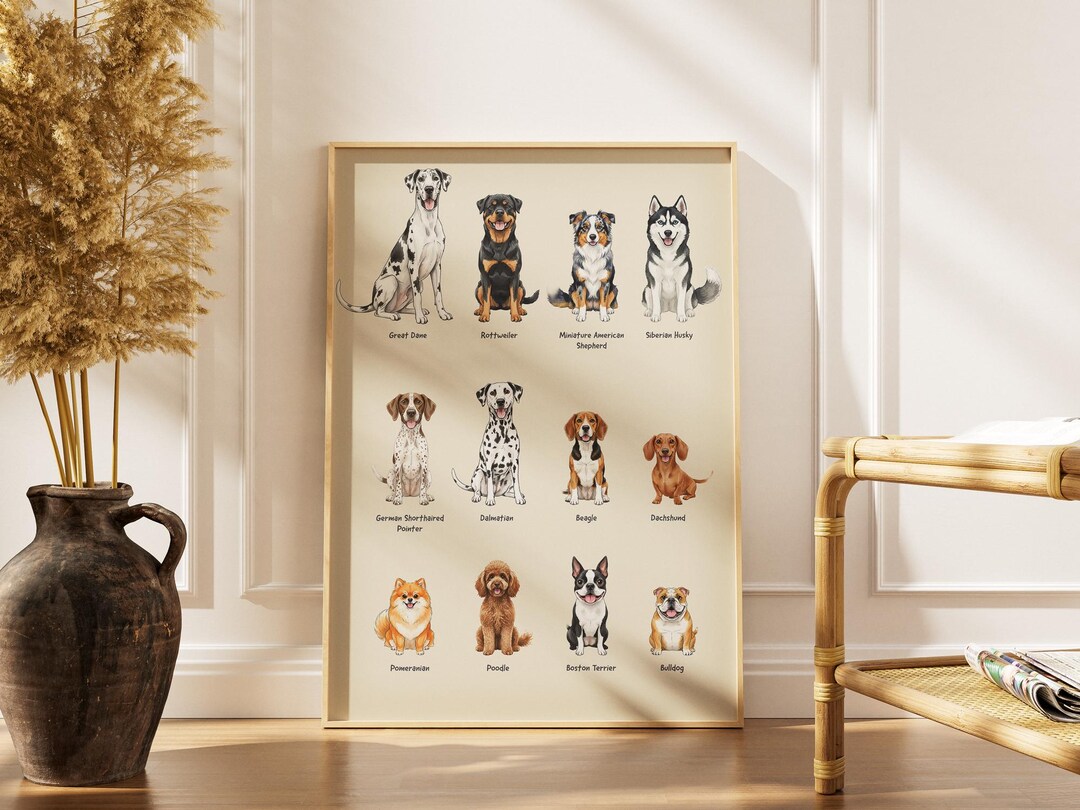 Dog Breeds Poster Print, Set of 12 Dog Illustrations, Veterinary Office ...