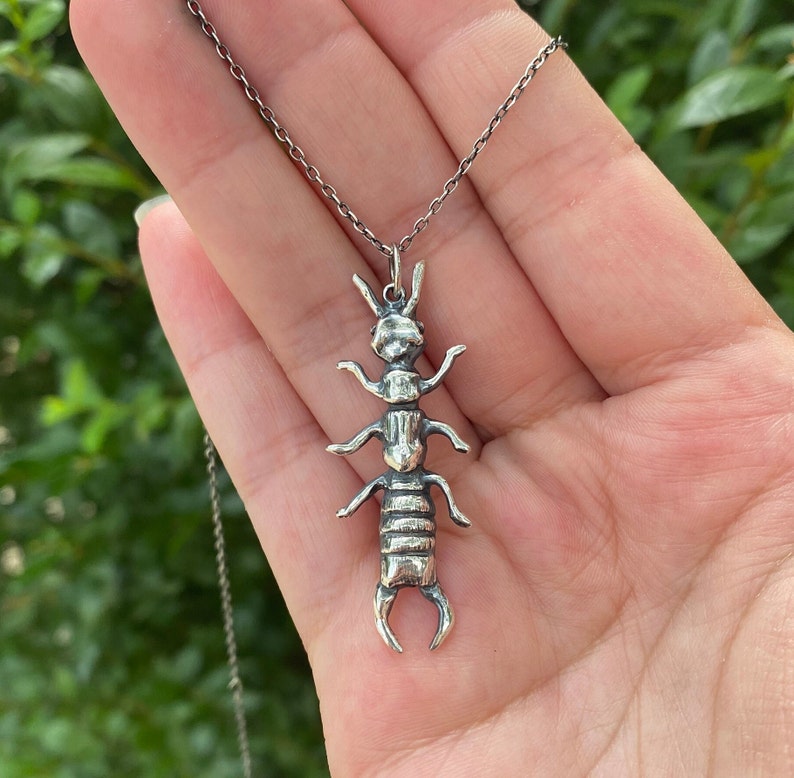 Sterling Silver Earwig Necklace/bug Jewelry/bug Lover Gift - Etsy