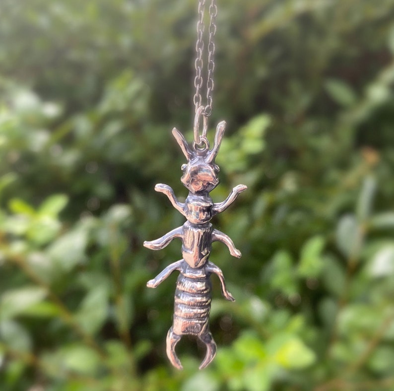 Sterling Silver Earwig Necklace/bug Jewelry/bug Lover Gift - Etsy