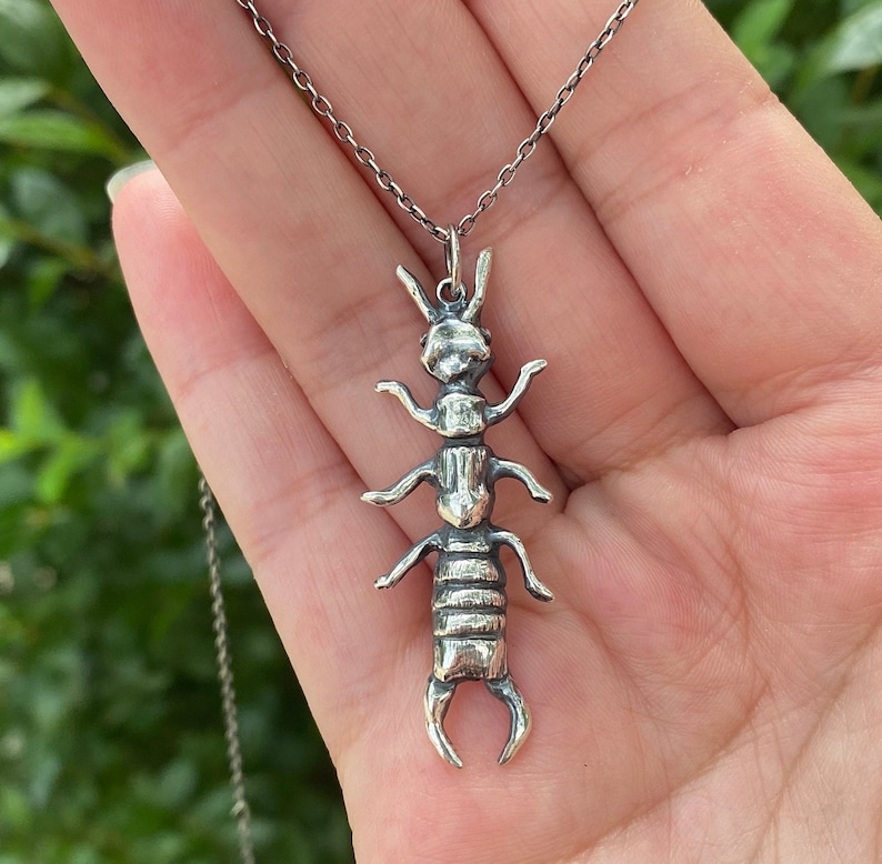 Sterling Silver Earwig Necklace/bug Jewelry/bug Lover Gift - Etsy