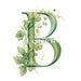 B Monogram PNG, Letter B PNG, B Template Transparent Background, B ...