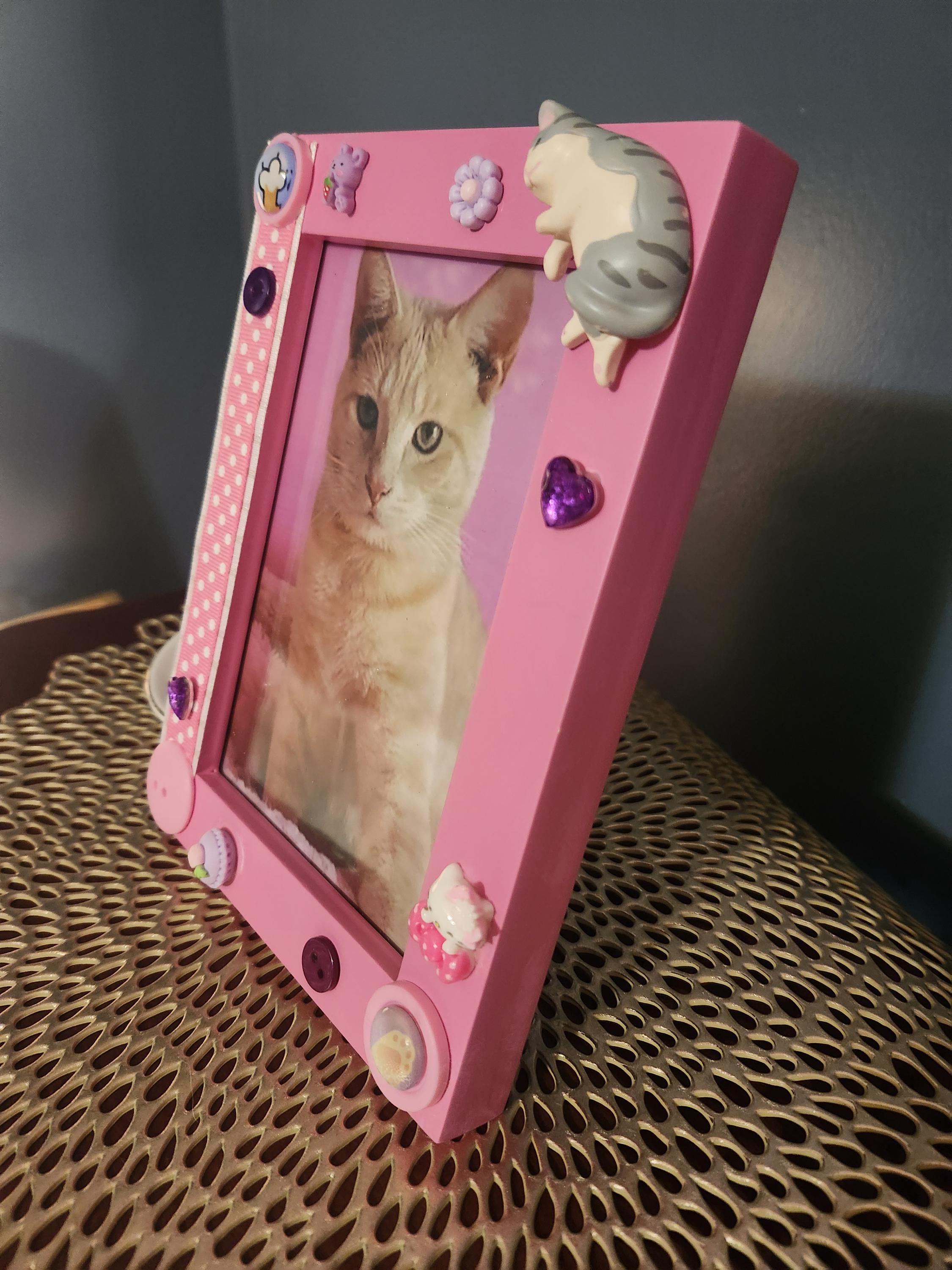 My Pet Kitty Cat Pink Photo Frame - Etsy