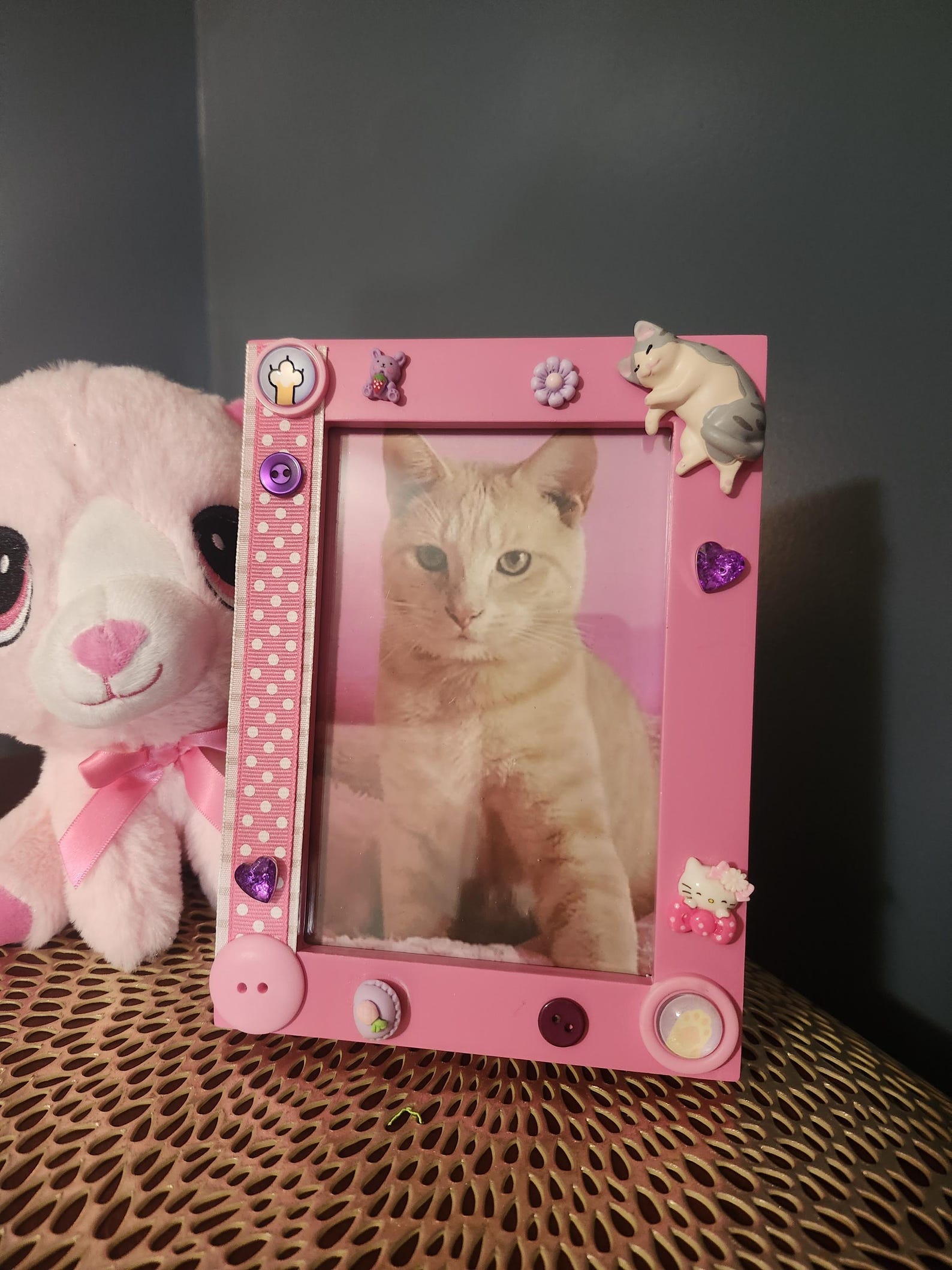My Pet Kitty Cat Pink Photo Frame - Etsy