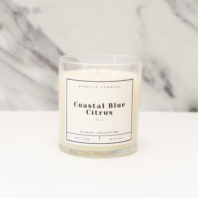 Citrus Candle Gift Candle Scented Handmade Candle Aesthetic Home Decor ...