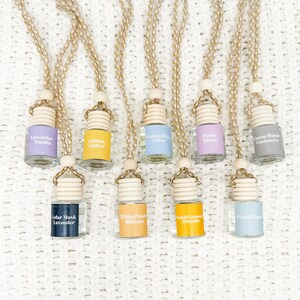 Citrus Car Diffuser Hanging Car Freshener Oil Diffuser for Car ...