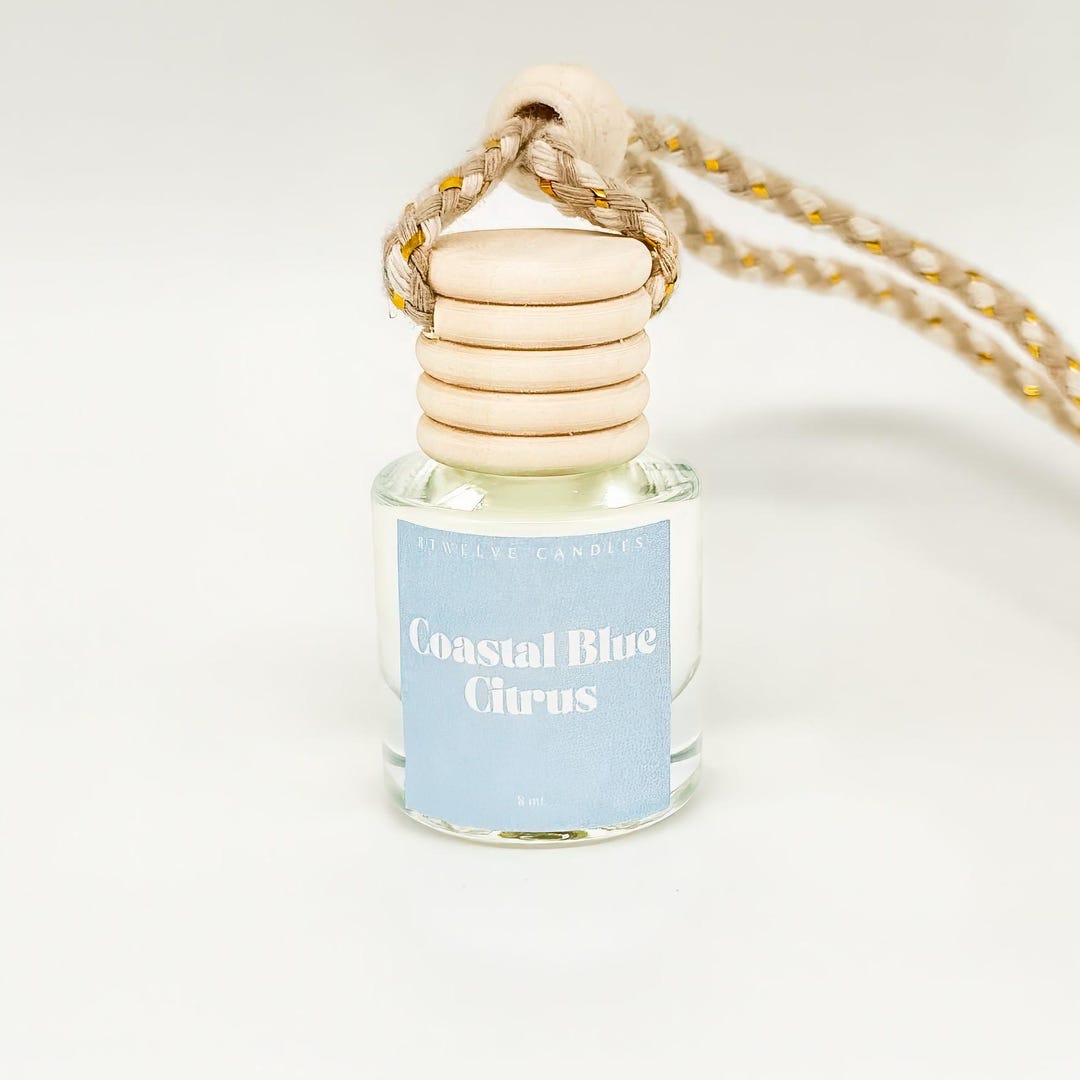 Citrus Car Diffuser Hanging Car Freshener Oil Diffuser for Car ...