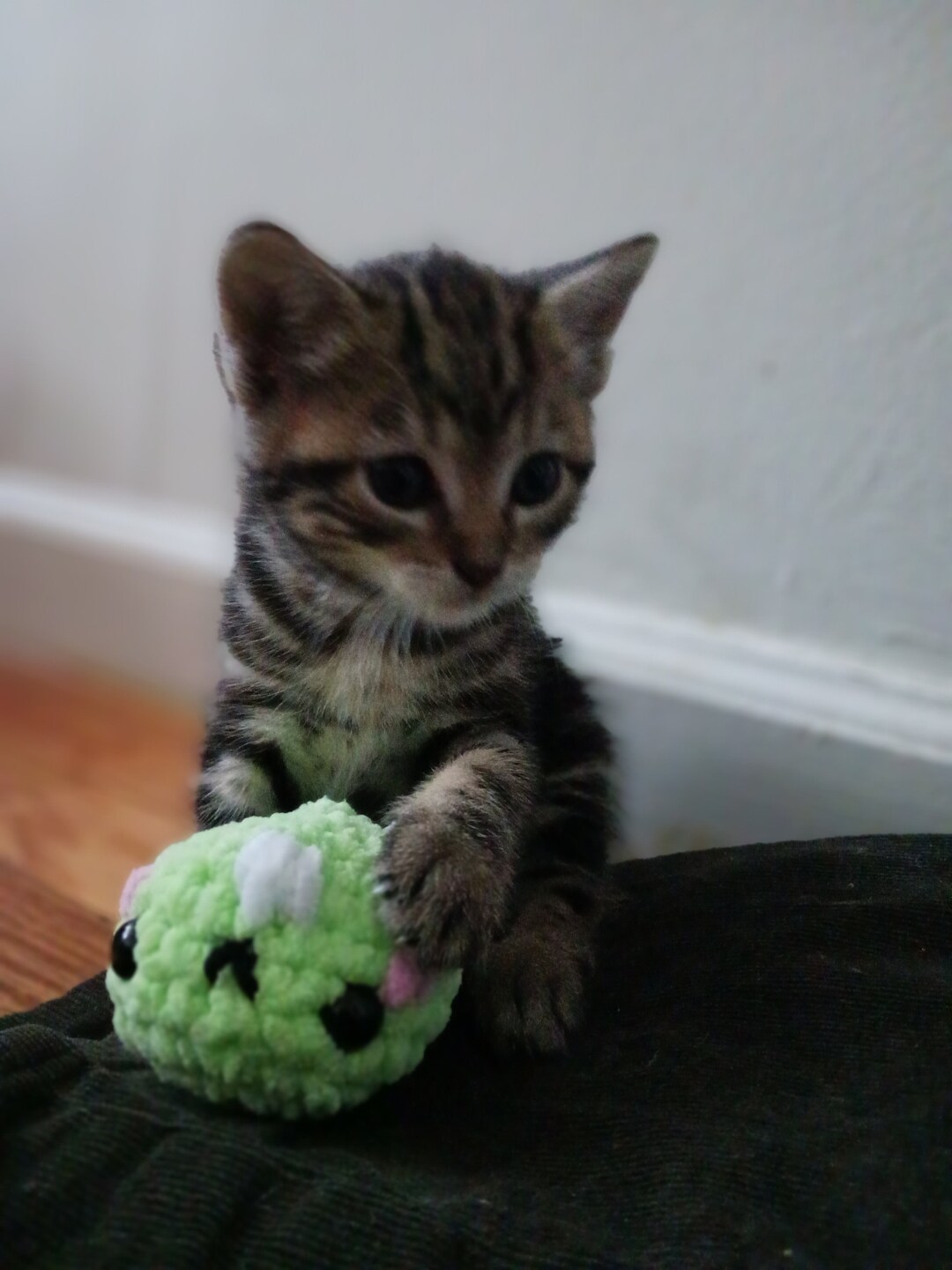 Handmade Frog Cat Catnip Toy - Etsy