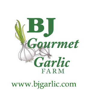 JUMBO German Red Garlic Bulbs Hardneck for Cooking or Seed Planting ...