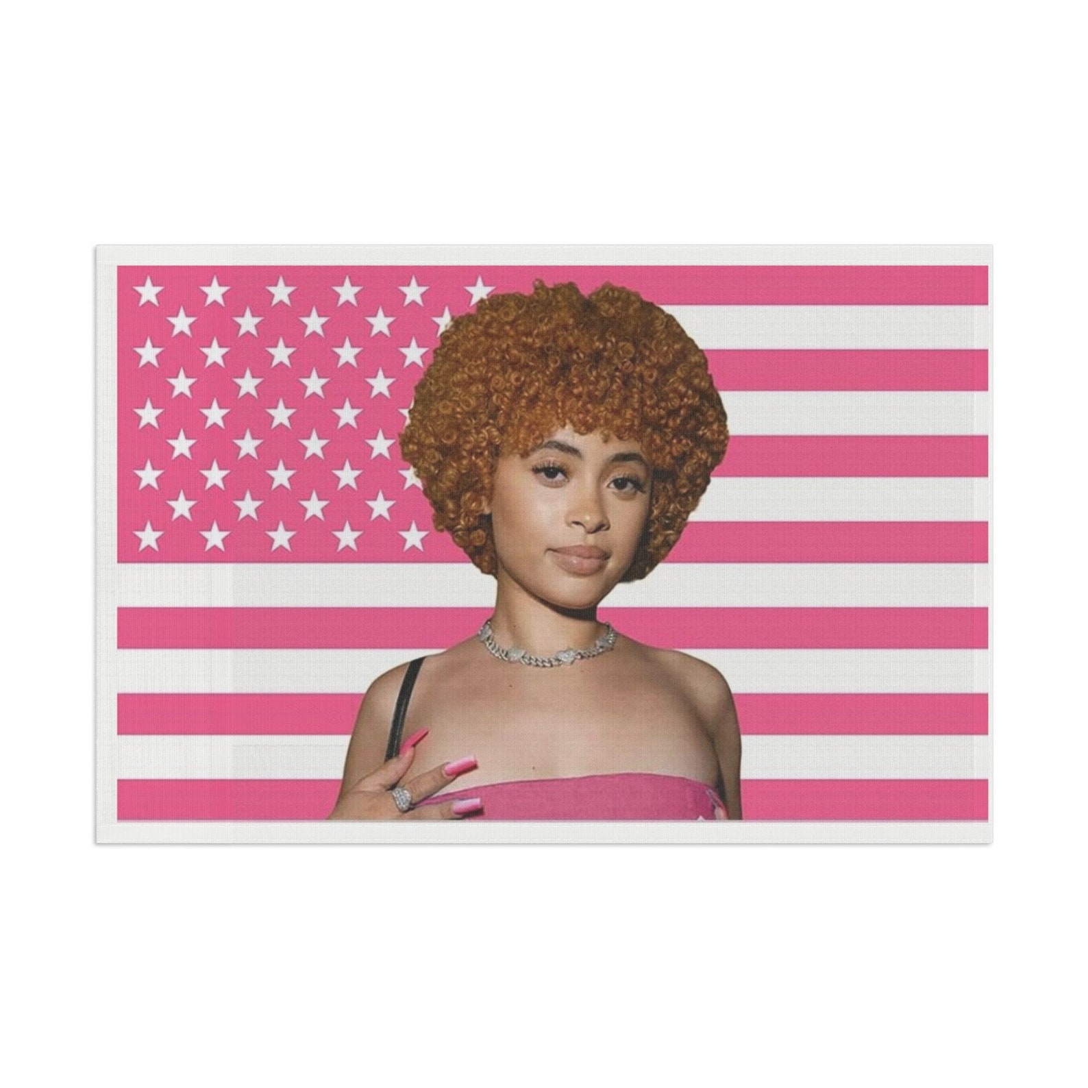 Ice Spice USA Flag - Etsy