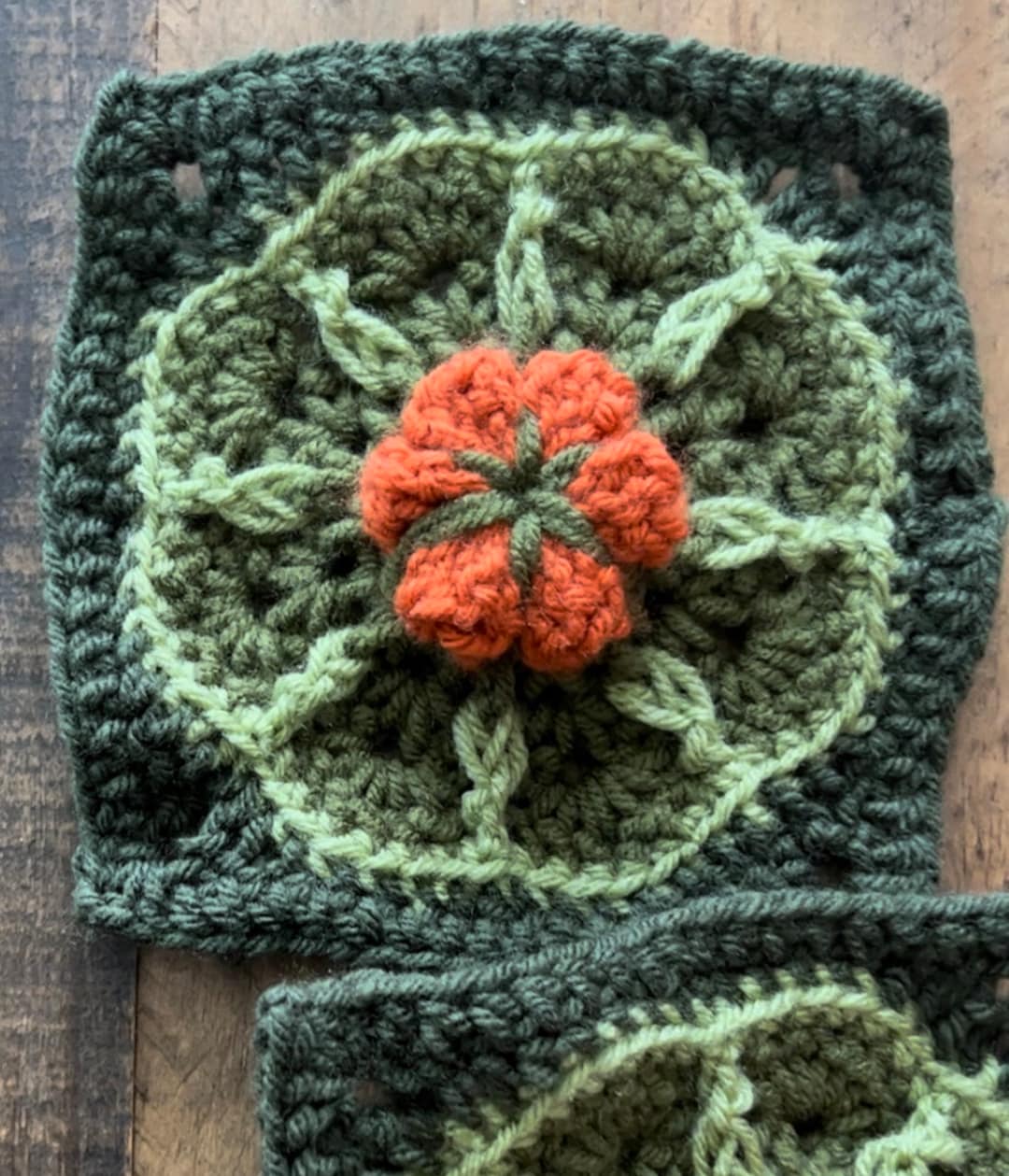 Pumpkin Patch Granny Square Pattern - PDF Instructions - Etsy