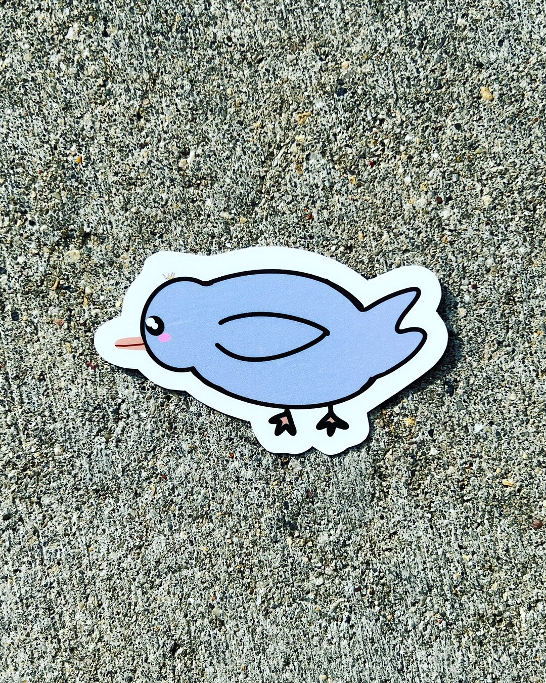 Pigeon Sticker / Bird Water Bottle Sticker / Cute Bird Laptop Stickers ...