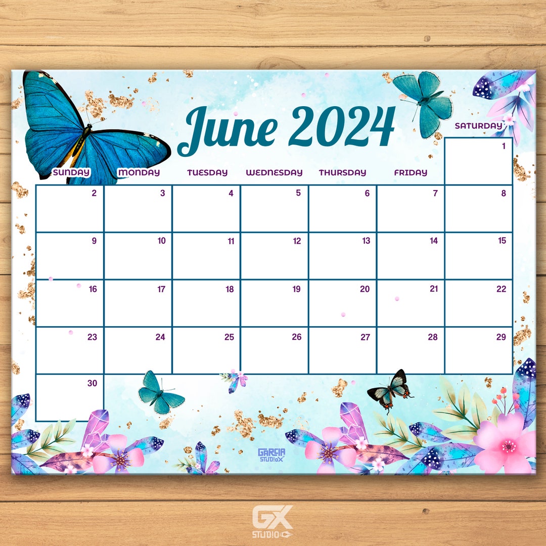 EDITABLE June 2024 Calendar, Fillable Summer Planner, Monthly Schedule ...