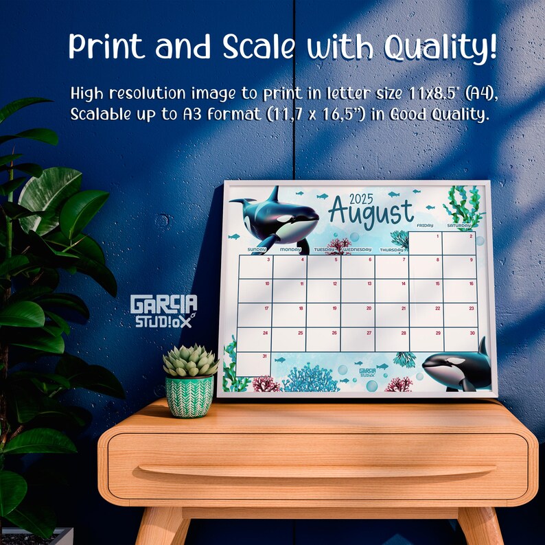 EDITABLE August 2025 Calendar, Fillable Summer Planner, Monthly ...