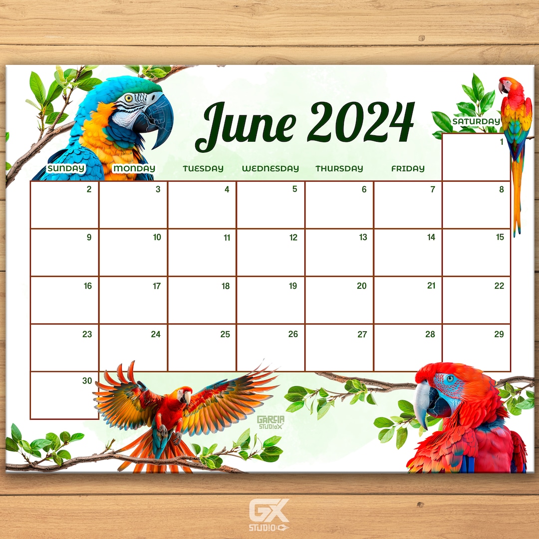 EDITABLE June 2024 Calendar, Fillable Summer Planner, Monthly Schedule ...