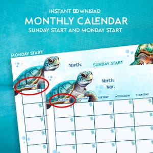 Monthly Calendar Undated | Sea Turtle Design, Editable and Printable ...
