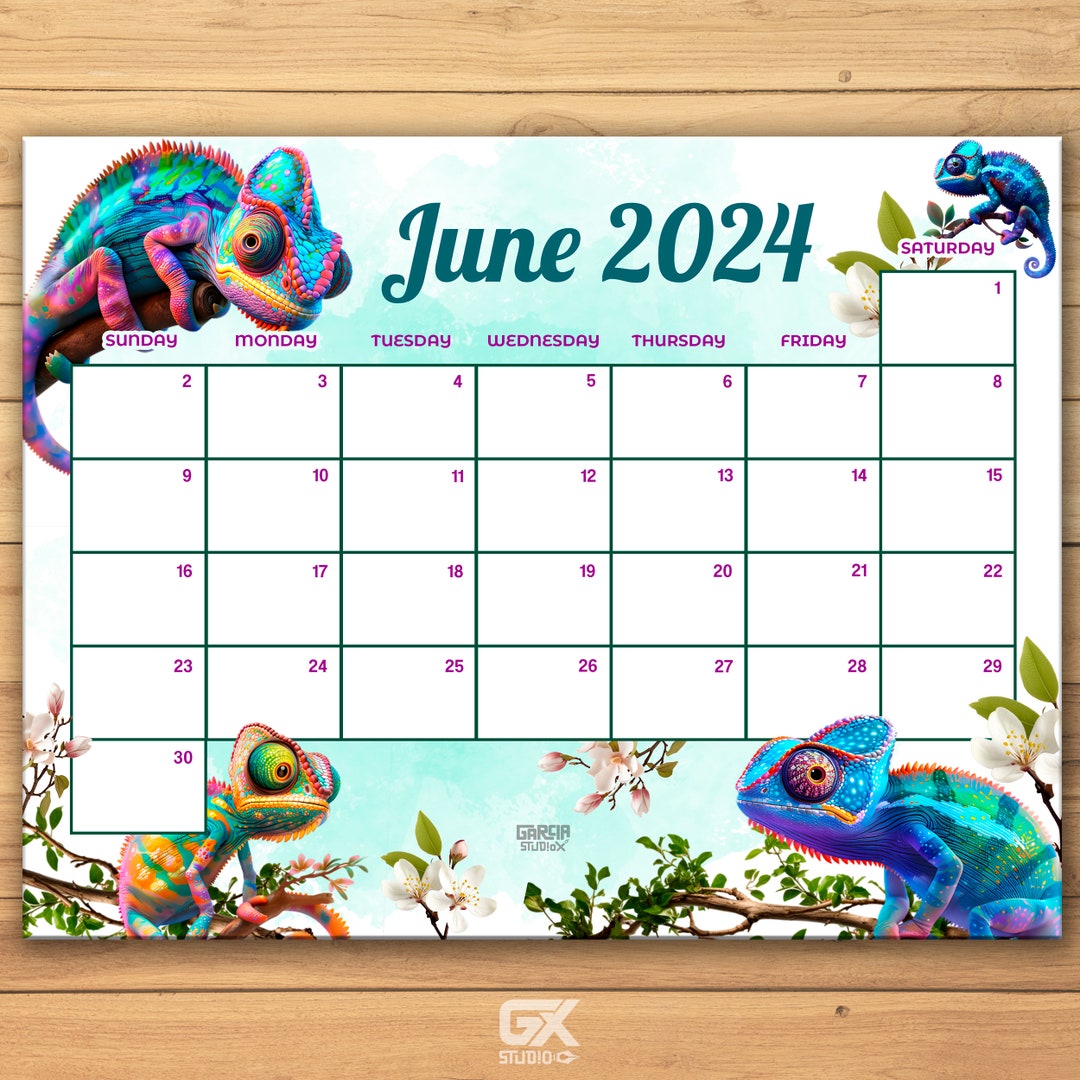 EDITABLE June 2024 Calendar, Fillable Summer Planner, Monthly Schedule ...