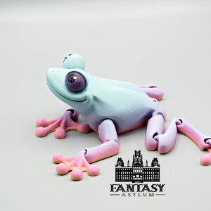 3D Printed Articulated LARGE Tree Frog Toy - Etsy