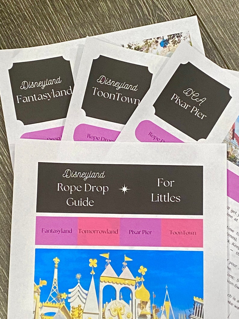 Disneyland Rope Drop Guide for Littles - Etsy