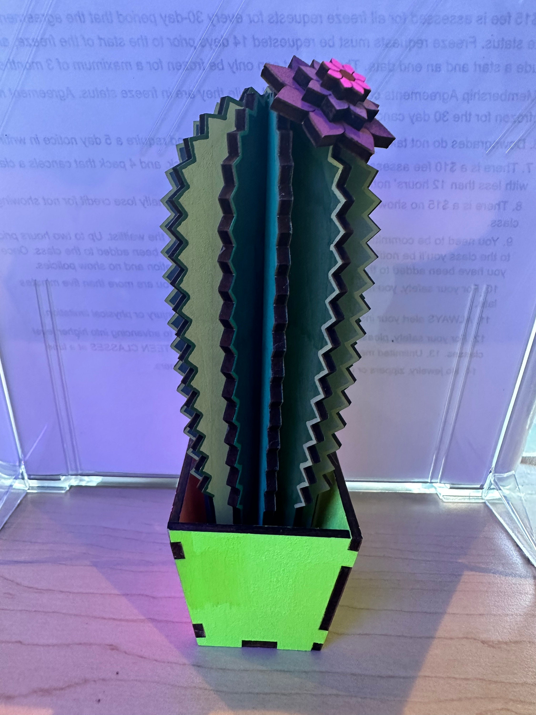 Hand Painted Wooden Cactus Decor - Etsy