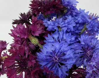 Bulk Rainbow Mix Edible Cornflower Seeds, Black, Pink, Purple, Blue ...