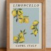 Limoncello Print, Italian Drink, European, Italy, Wall Art, Digital ...