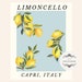 Limoncello Print, Italian Drink, European, Italy, Wall Art, Digital ...