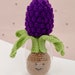 Crochet Fancy Hyacinth ,finished Crochet Hyacinth , Handmade Knitted ...