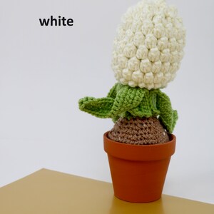 Crochet Fancy Hyacinth ,finished Crochet Hyacinth , Handmade Knitted ...
