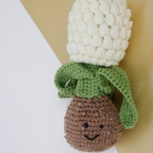 Crochet Fancy Hyacinth ,finished Crochet Hyacinth , Handmade Knitted ...
