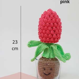 Crochet Fancy Hyacinth ,finished Crochet Hyacinth , Handmade Knitted ...