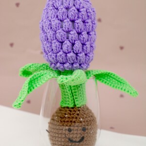 Crochet Fancy Hyacinth ,finished Crochet Hyacinth , Handmade Knitted ...