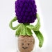 Crochet Fancy Hyacinth ,finished Crochet Hyacinth , Handmade Knitted ...